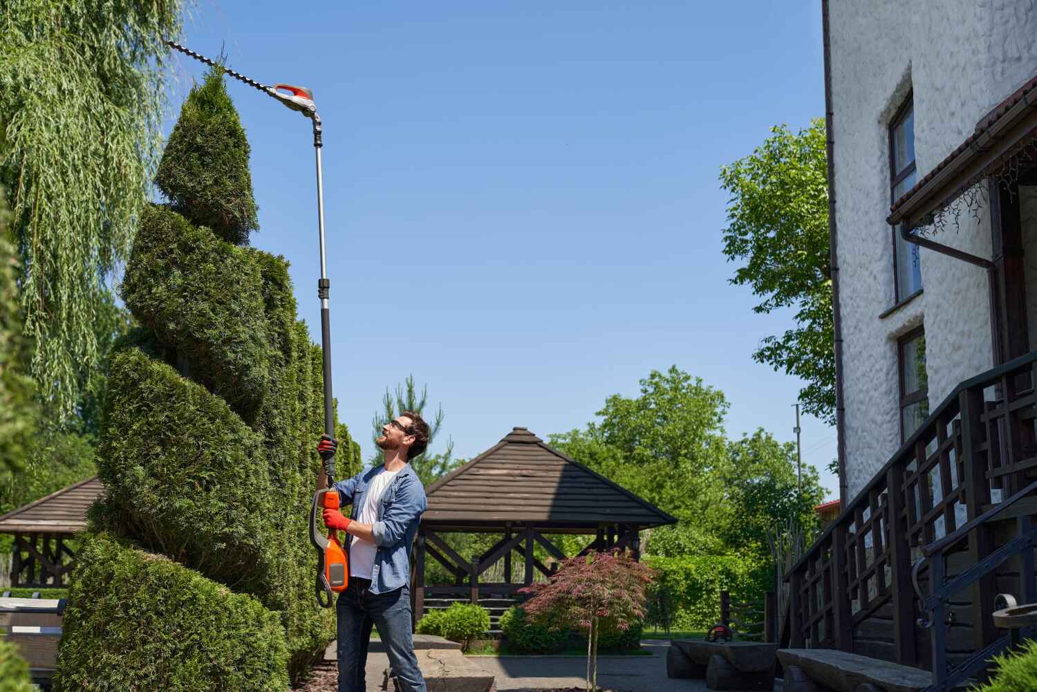 Your Tree Removal Experts in Gaston, SC | Morris family Tree Service ...