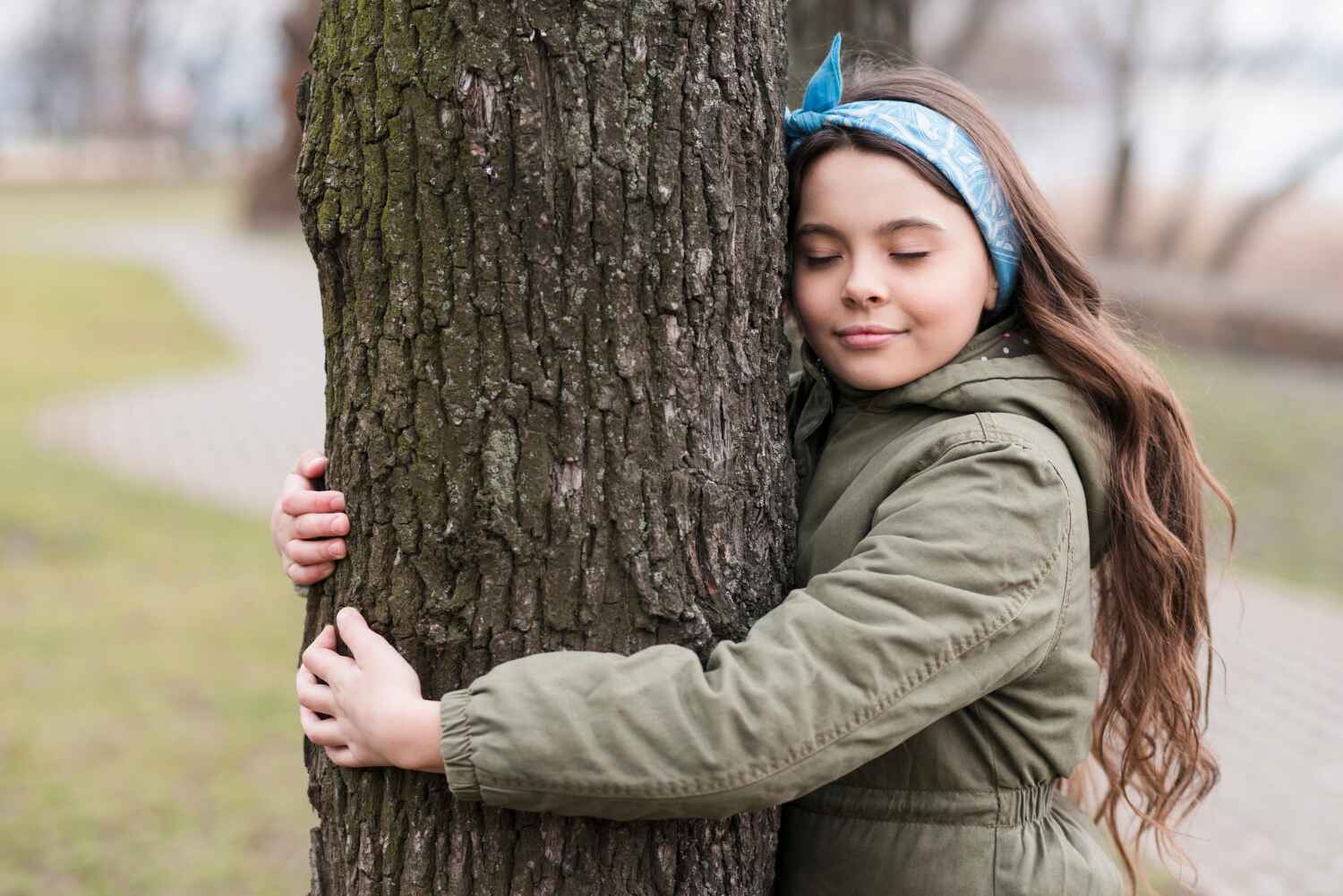 Professional Tree Trimming and Tree Removal in Bismarck, ND | Morris ...